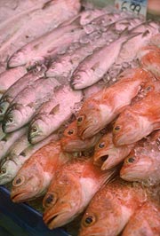 When you can't shake that 'dead fish' smell - OMG.BLOG