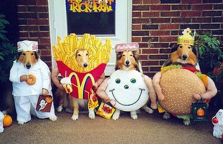 OMG, how cute: Fast food collies - OMG.BLOG