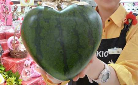 OMG, how Japanese: Heart-Shaped Watermelons - OMG.BLOG