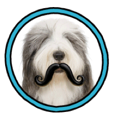 OMG, how cute: Dogs with mustaches - OMG.BLOG