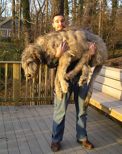 OMG, cute: The dude, the dog or both? - OMG.BLOG