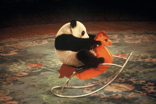 OMG, cute: Panda on a rocking horse - OMG.BLOG