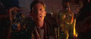 OMG, I'm feeling ACID! Google releases app which warps images into pure ...