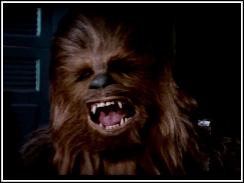 OMG, CHEW have to laugh: 'Chewie Here, Chewbacca There' - OMG.BLOG