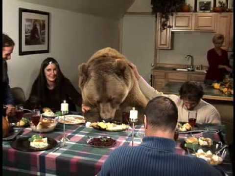 OMG, how cute: Dining bear - OMG.BLOG