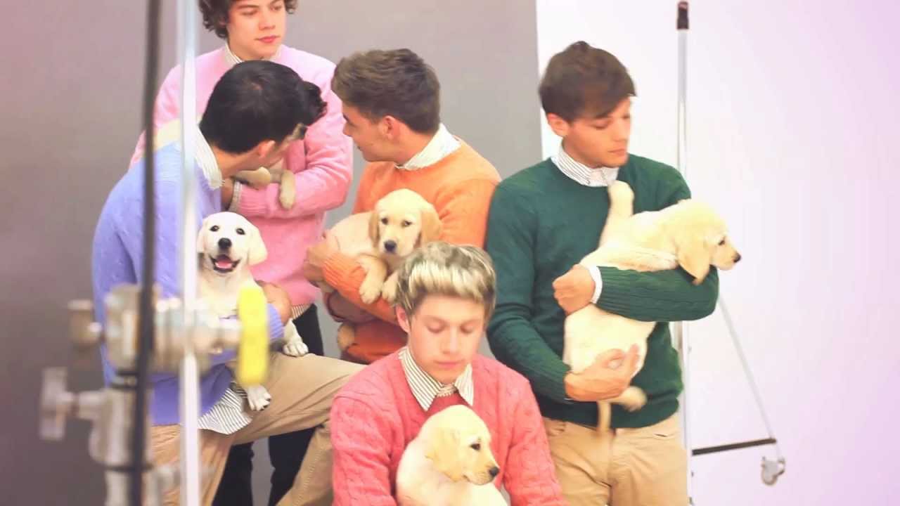 OMG, Pile 'o Puppies: One Direction's Puppy Parlour - OMG.BLOG