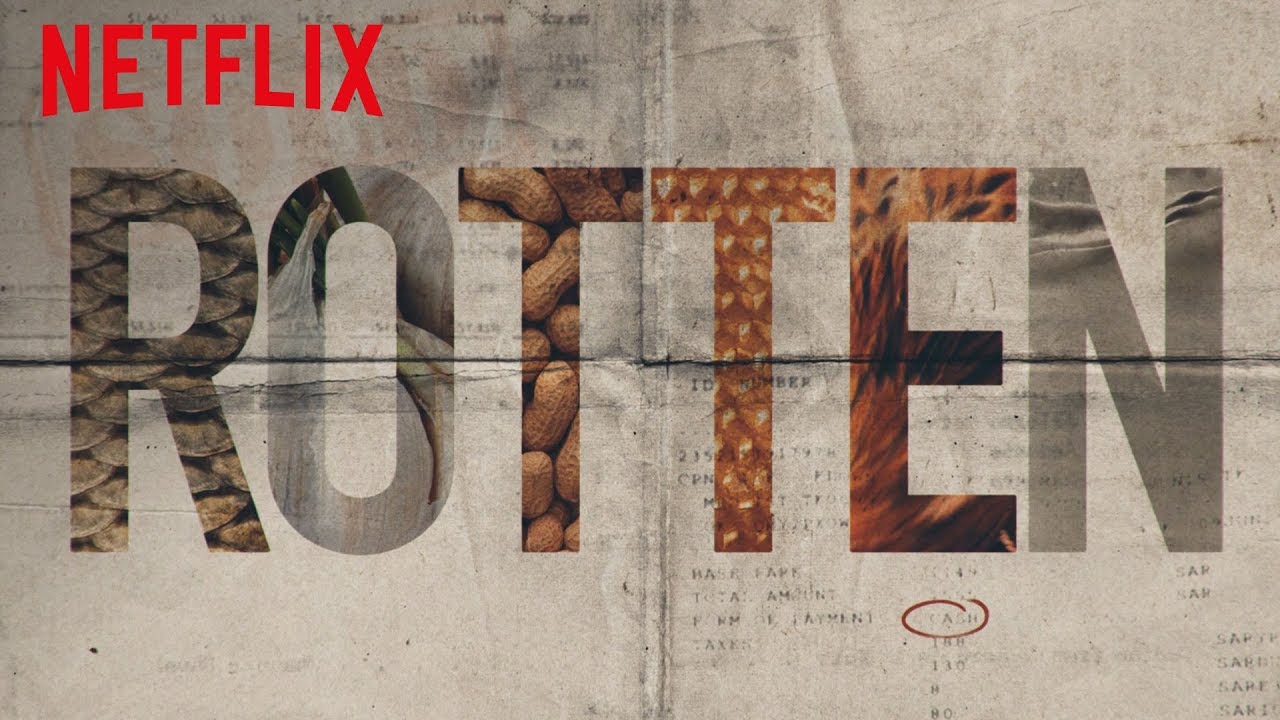 OMG, WATCH: A new documentary, ROTTEN, on the corruption of our food ...