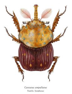 OMG, this artist beautifully turns everyday insects into Star Wars ...