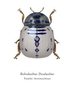 OMG, this artist beautifully turns everyday insects into Star Wars ...