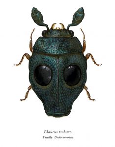 OMG, this artist beautifully turns everyday insects into Star Wars ...