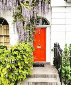 OMG, a vision: Woman captures London's most colorful doorways in ...