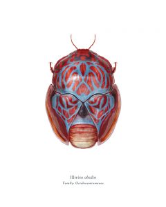 OMG, an artist turns famous horror icons into different insects and the ...