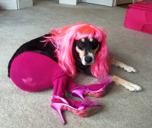 OMG, WHUT!? Here's a bunch of strange pictures that are really hard to ...
