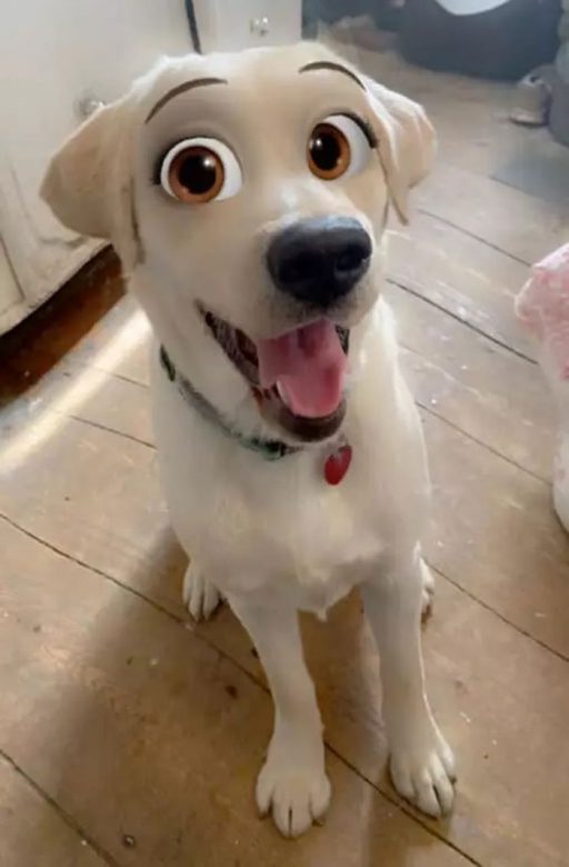 OMG, these filters make your dog look like a Disney character - OMG.BLOG