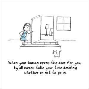 OMG, how to be a cat: A step-by-step! - OMG.BLOG