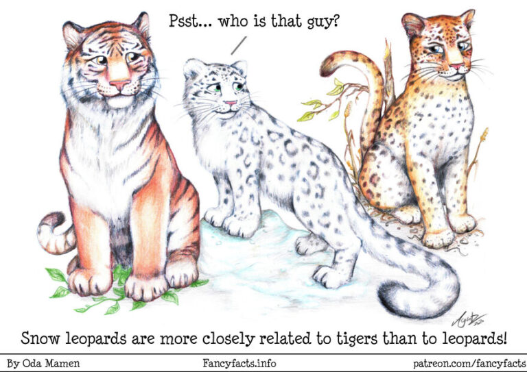 OMG, here are 26 interesting scientific facts illustrated in an ...