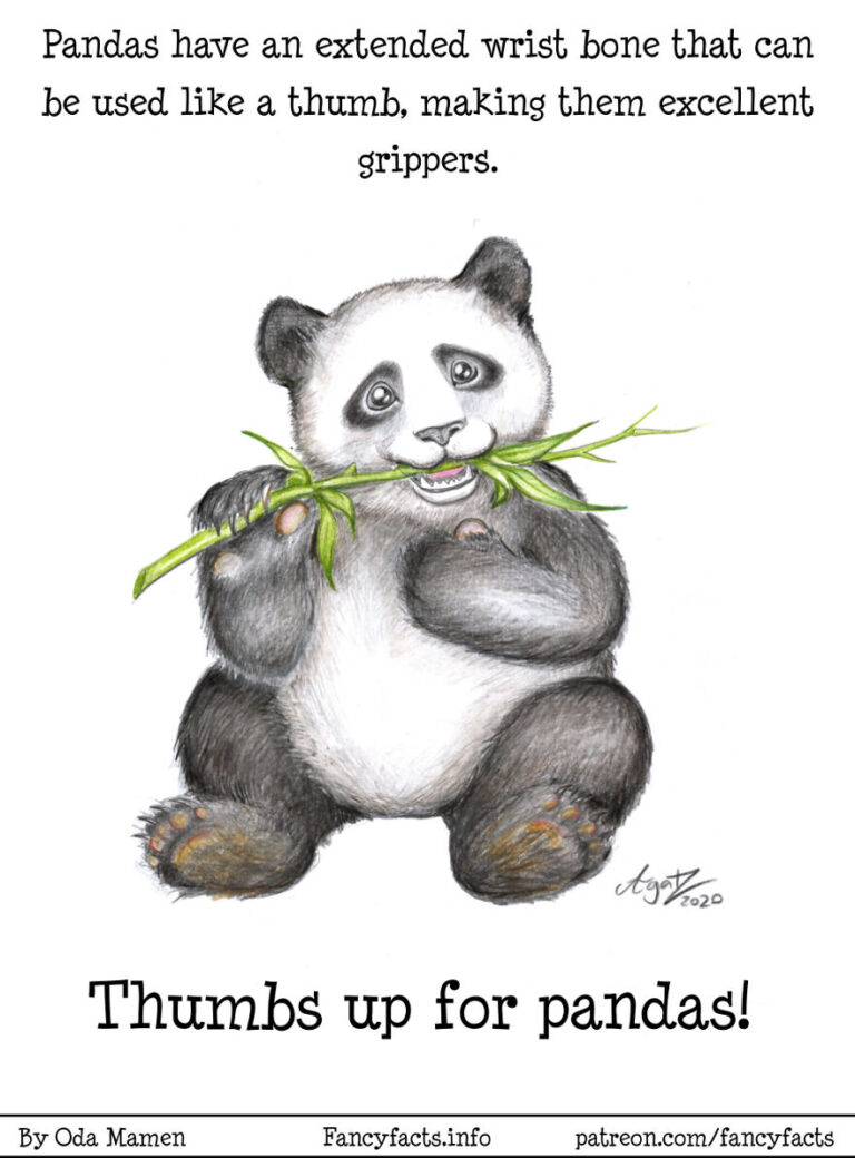 OMG, here are 26 interesting scientific facts illustrated in an ...