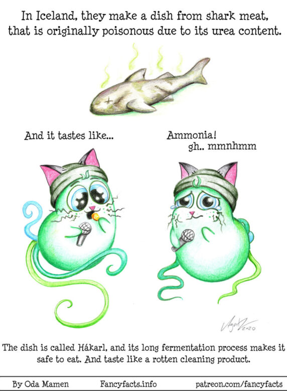 OMG, here are 26 interesting scientific facts illustrated in an ...