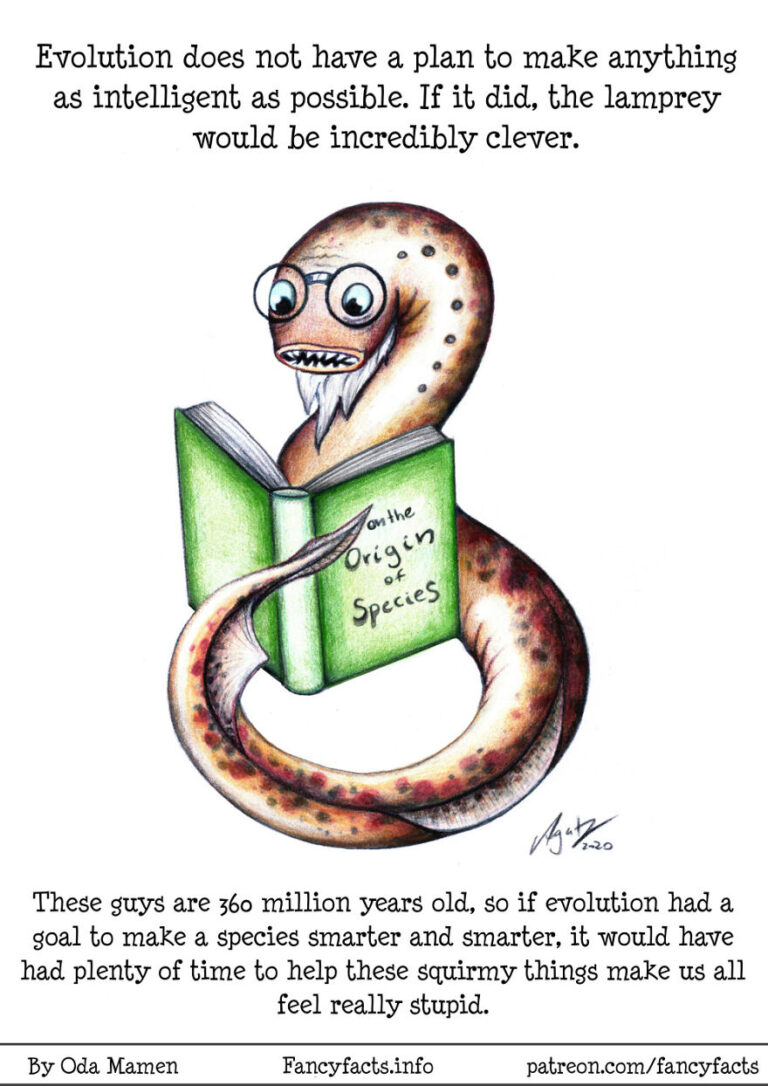 OMG, here are 26 interesting scientific facts illustrated in an ...