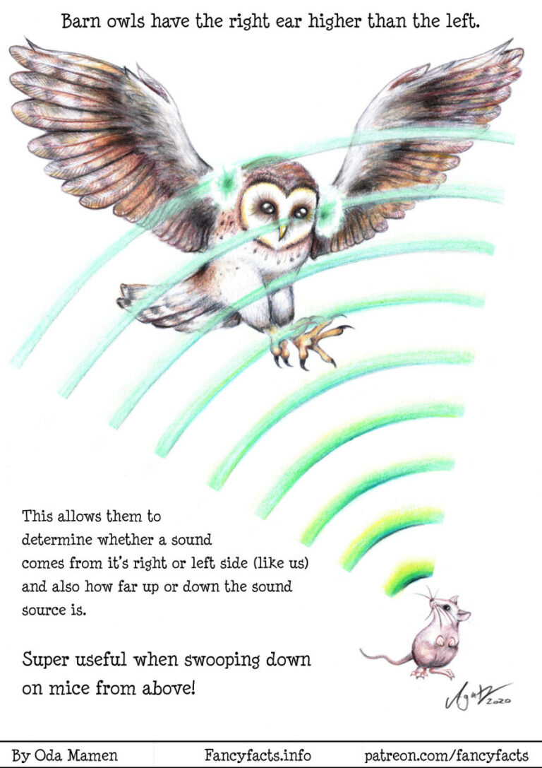 OMG, here are 26 interesting scientific facts illustrated in an ...