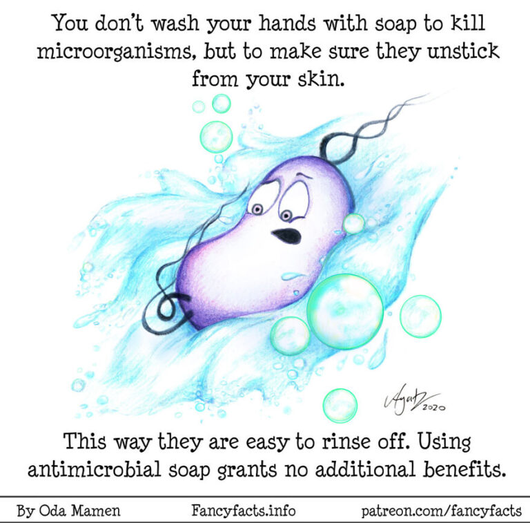 OMG, here are 26 interesting scientific facts illustrated in an ...