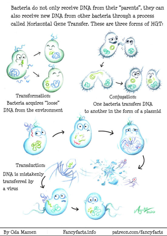 OMG, here are 26 interesting scientific facts illustrated in an ...