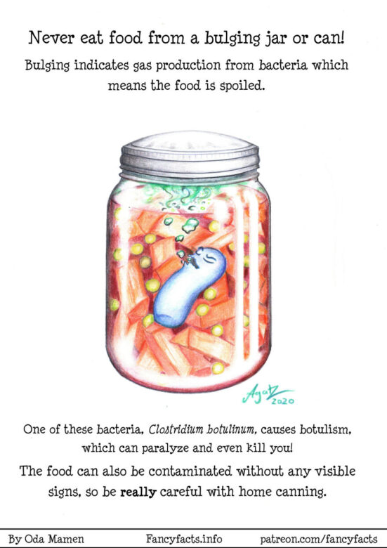 OMG, here are 26 interesting scientific facts illustrated in an ...