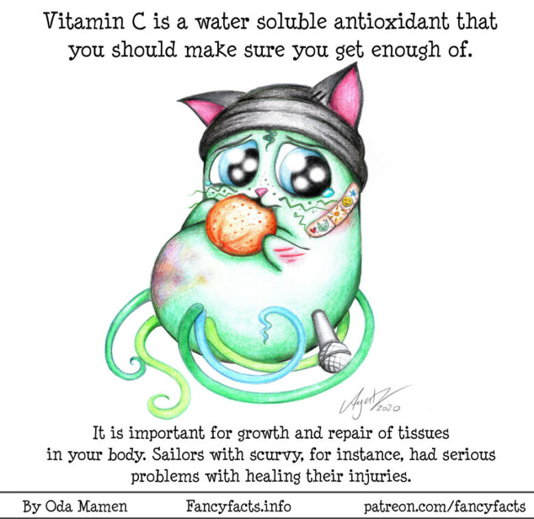 OMG, here are 26 interesting scientific facts illustrated in an ...