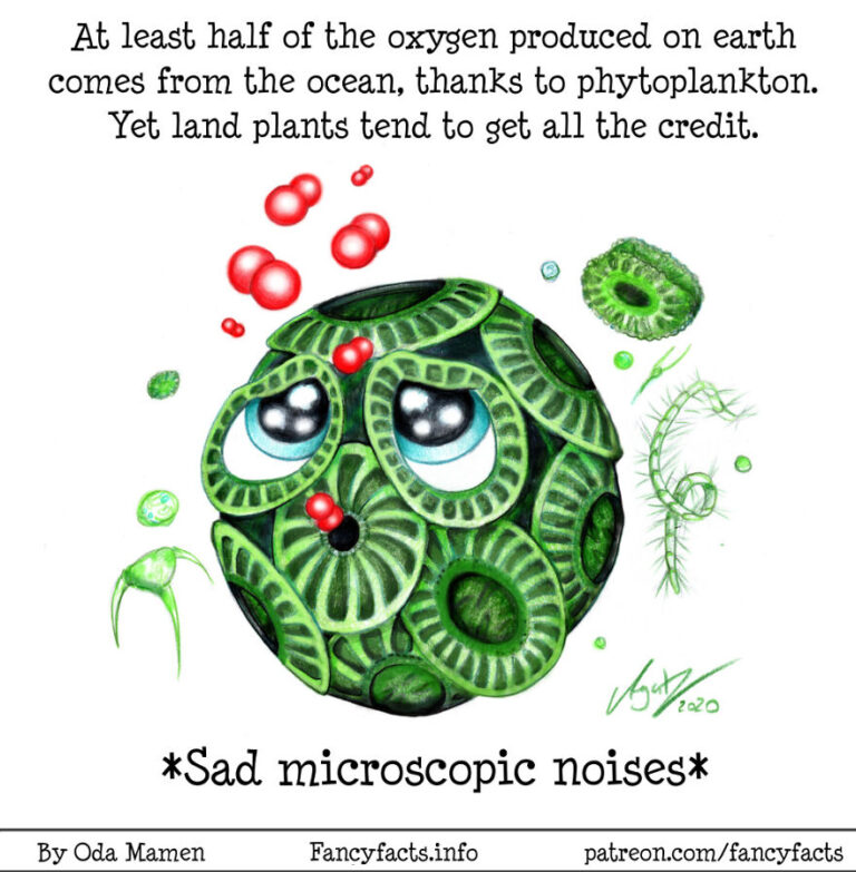 OMG, here are 26 interesting scientific facts illustrated in an ...