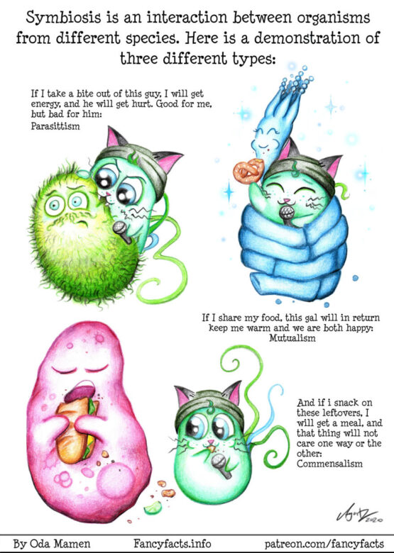 OMG, here are 26 interesting scientific facts illustrated in an ...