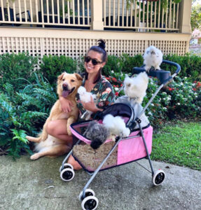 OMG, feelin' cooped up? These chicken owners built their pets strollers ...