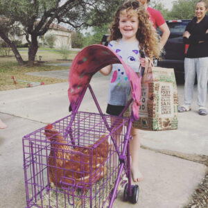 OMG, feelin' cooped up? These chicken owners built their pets strollers ...