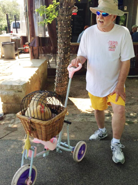OMG, feelin' cooped up? These chicken owners built their pets strollers ...