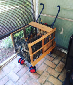 OMG, feelin' cooped up? These chicken owners built their pets strollers ...