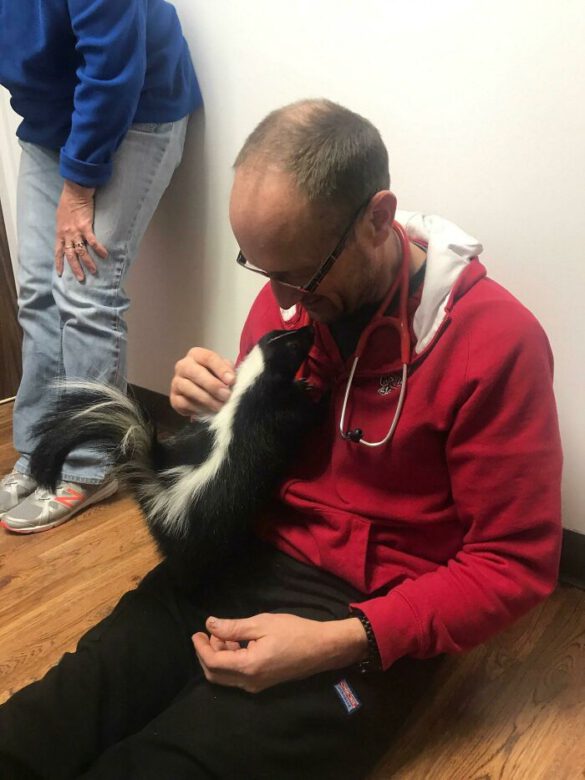 OMG, these vets encountered the CUTEST animals at work - OMG.BLOG