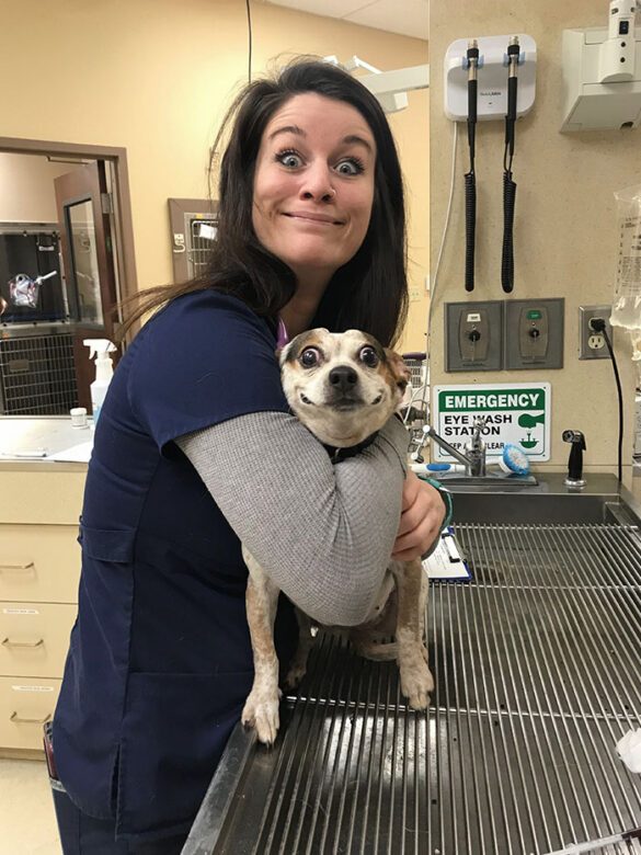 OMG, these vets encountered the CUTEST animals at work - OMG.BLOG