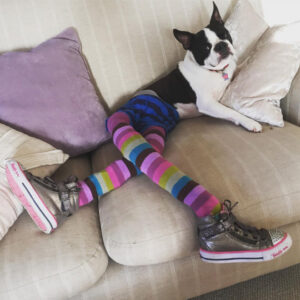 OMG, hot new PRIDE trend: Doggos in tights! - OMG.BLOG
