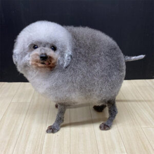 OMG, treat your poochie right! Get into 'Round Dog Grooming' by Yoriko ...