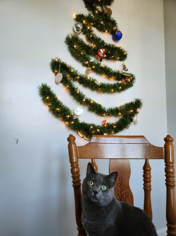 OMG, A HOLIDAY GALLERY: These people went to great lengths to PET-PROOF ...